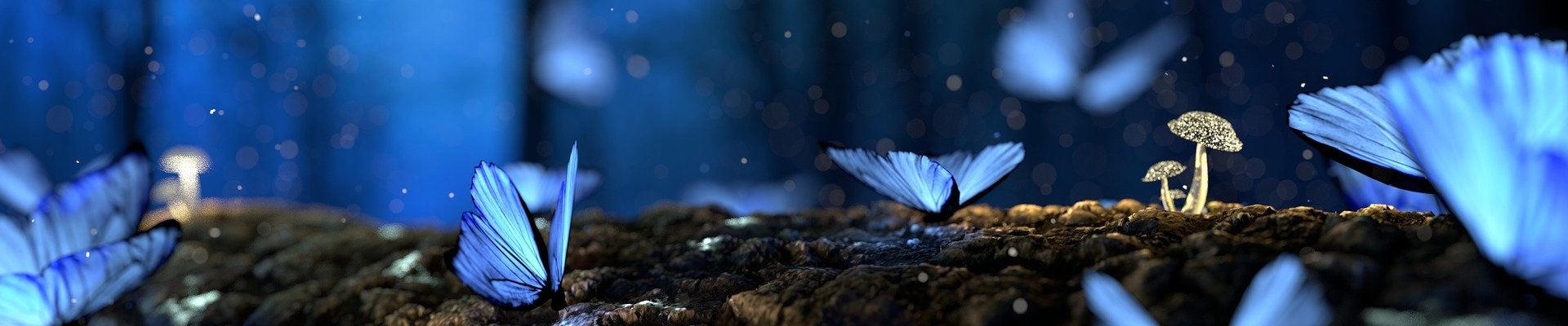 Seznamka Jan1992, 33 let, Teplice | Seznámit.cz